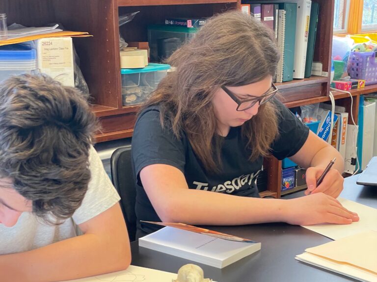 Curriculum & Courses | The Birch School Academic Programs